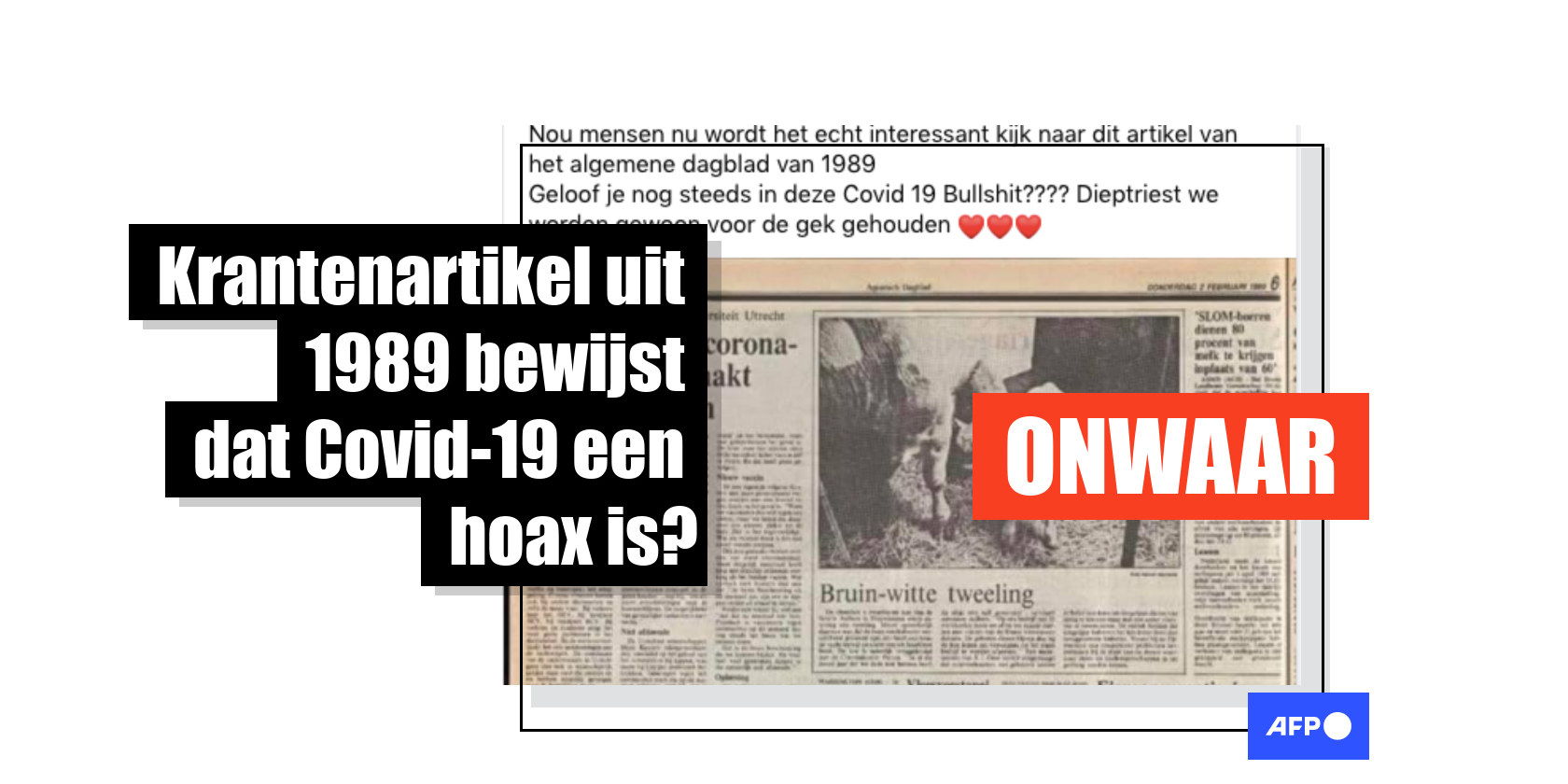 Dit oude krantenartikel gaat over een coronavirus dat kippen treft ...